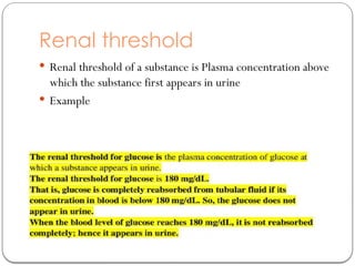renal tubular reabsorption and secretion.pptx