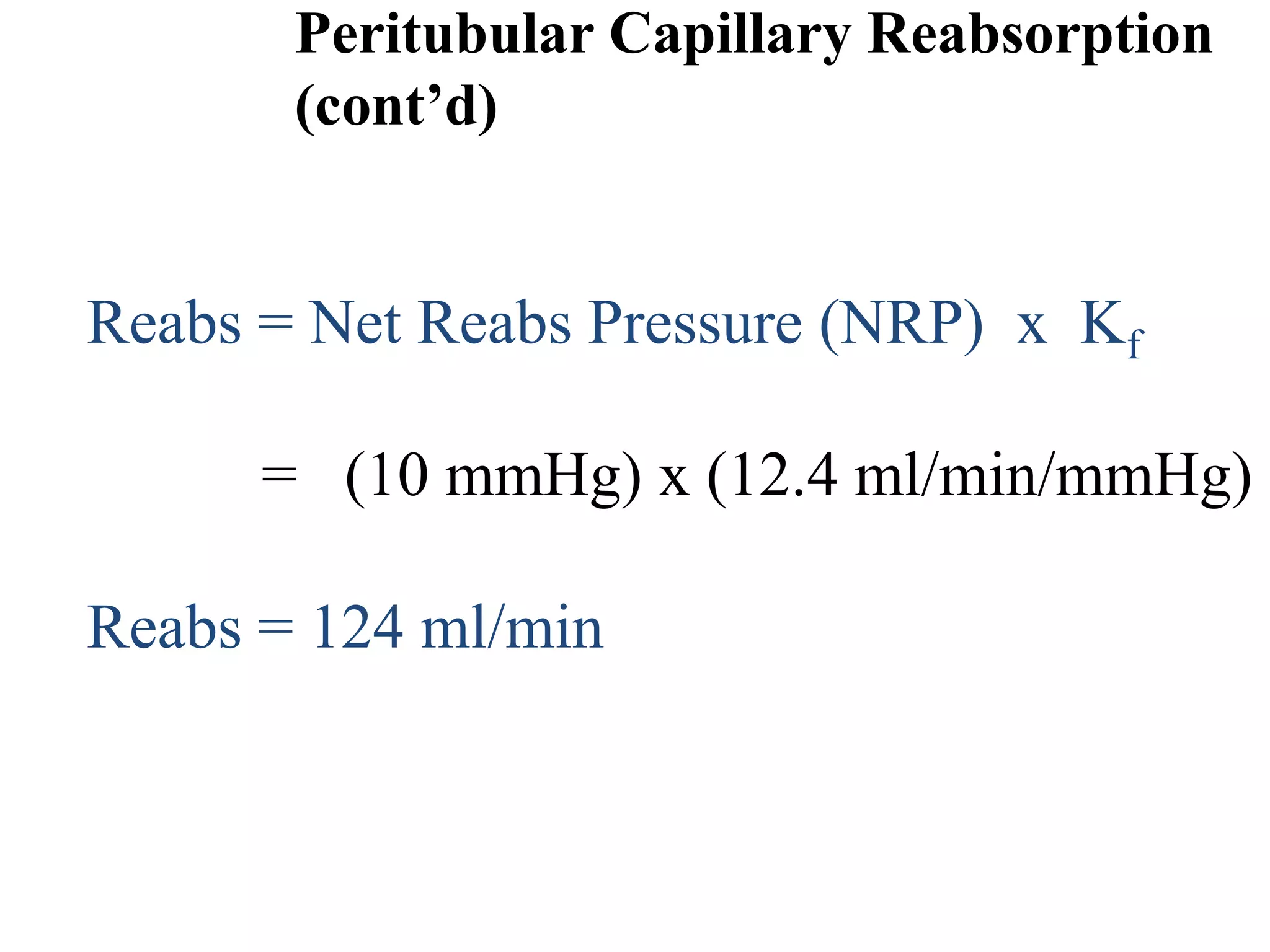 Renal tubular reabsorption, secretion, regulation & renal function ...