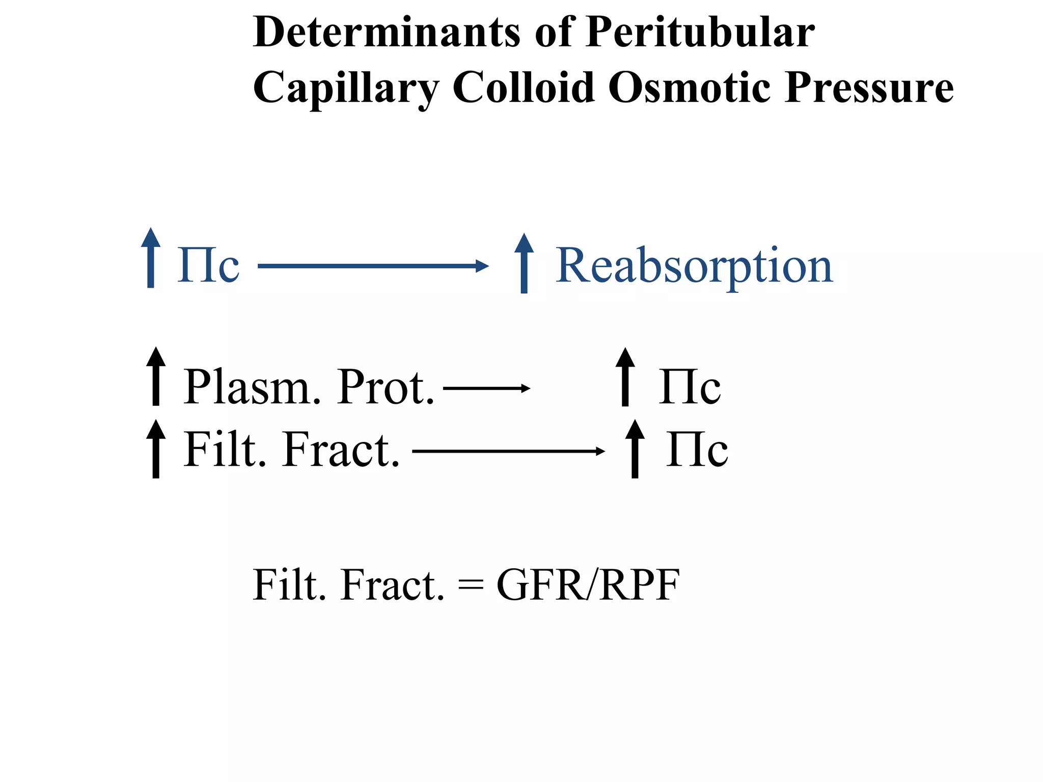 Renal tubular reabsorption, secretion, regulation & renal function ...