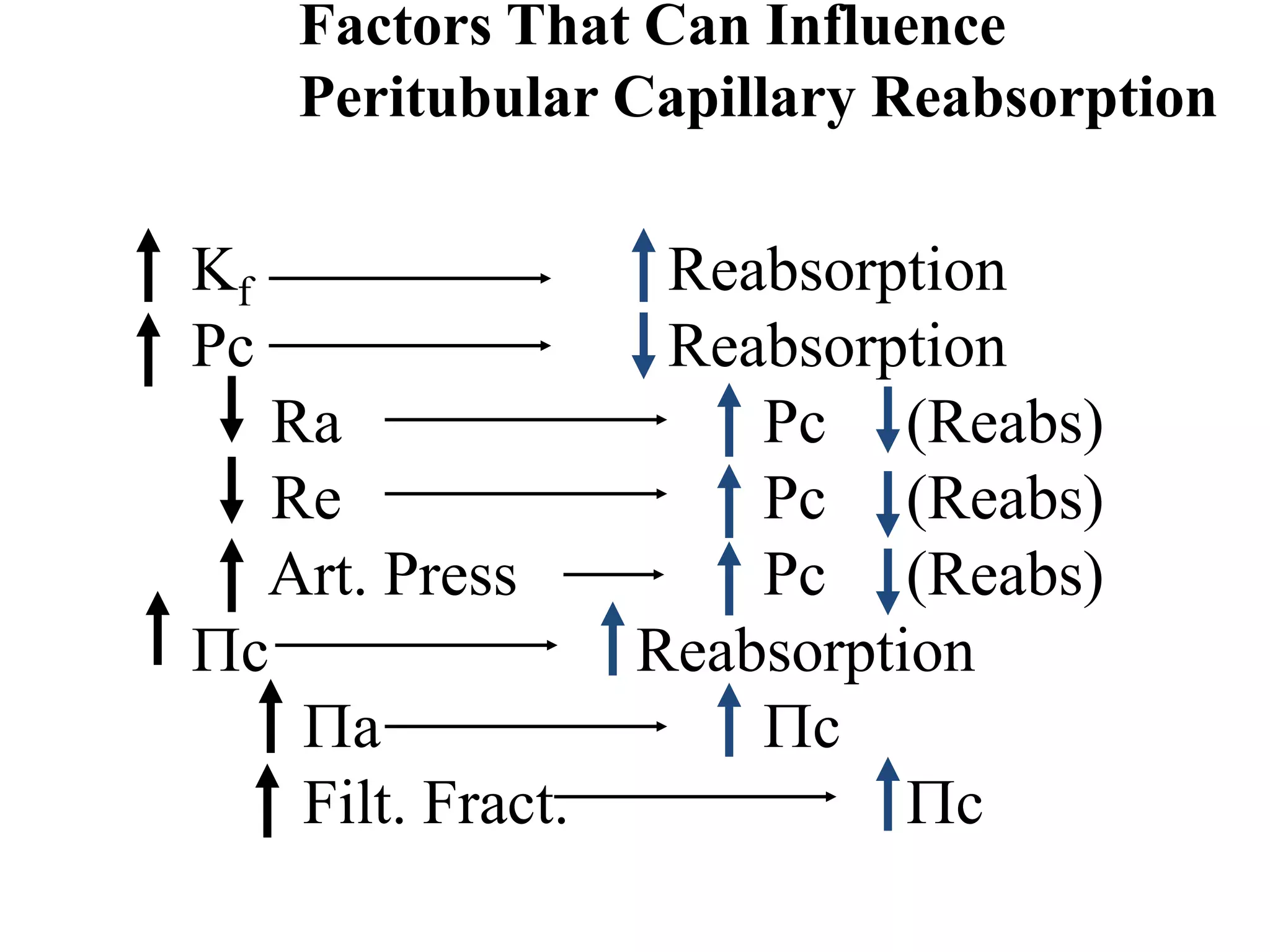Renal tubular reabsorption, secretion, regulation & renal function ...