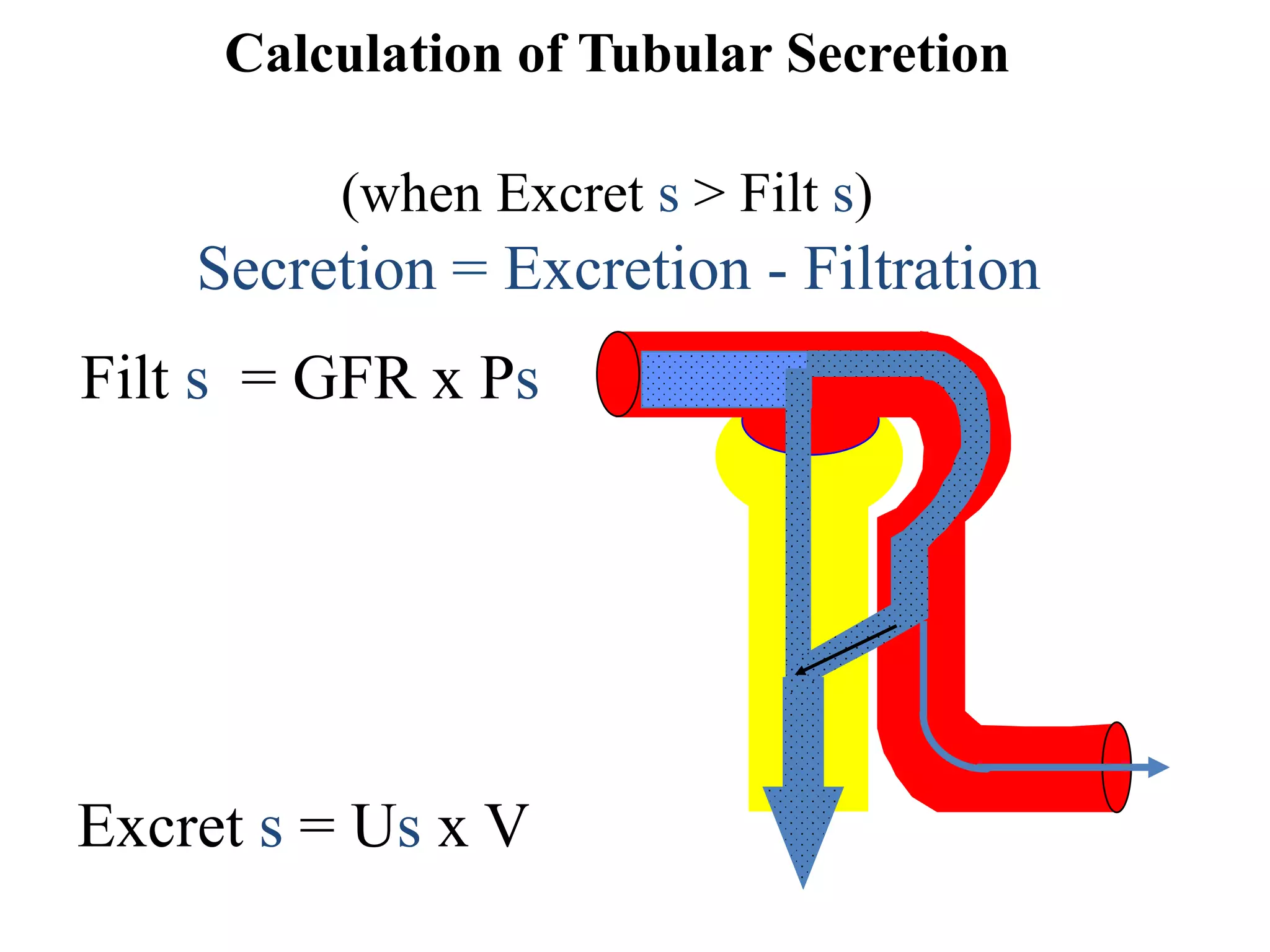 Renal tubular reabsorption, secretion, regulation & renal function ...