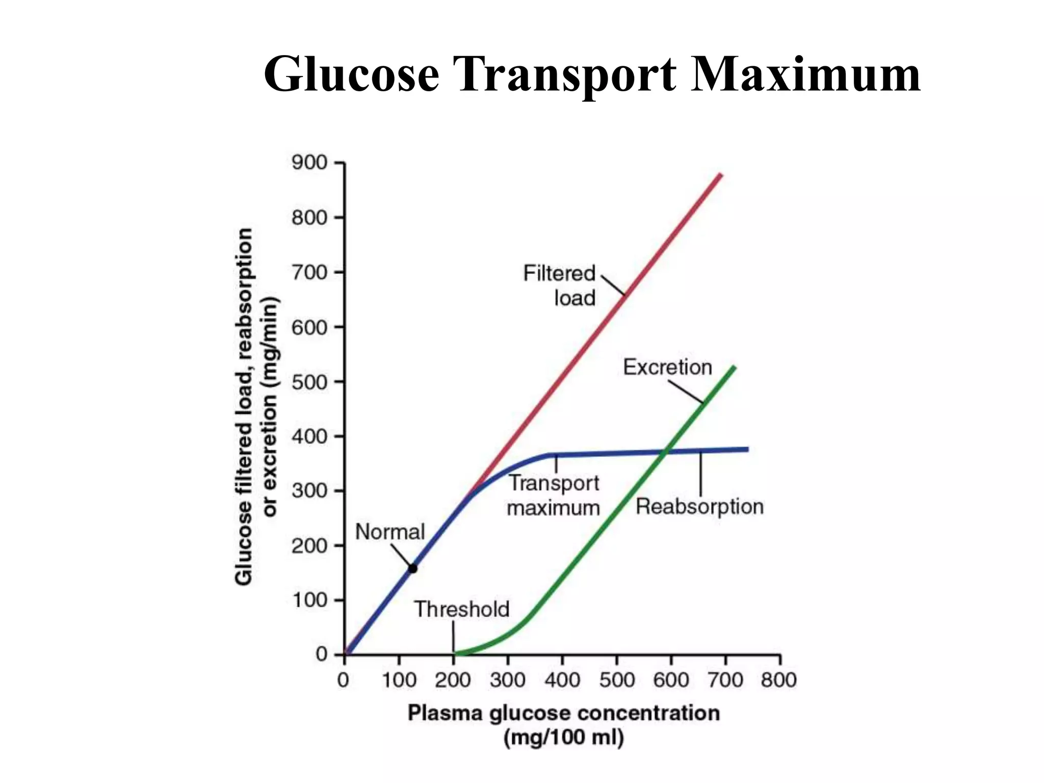 Renal tubular reabsorption, secretion, regulation & renal function ...