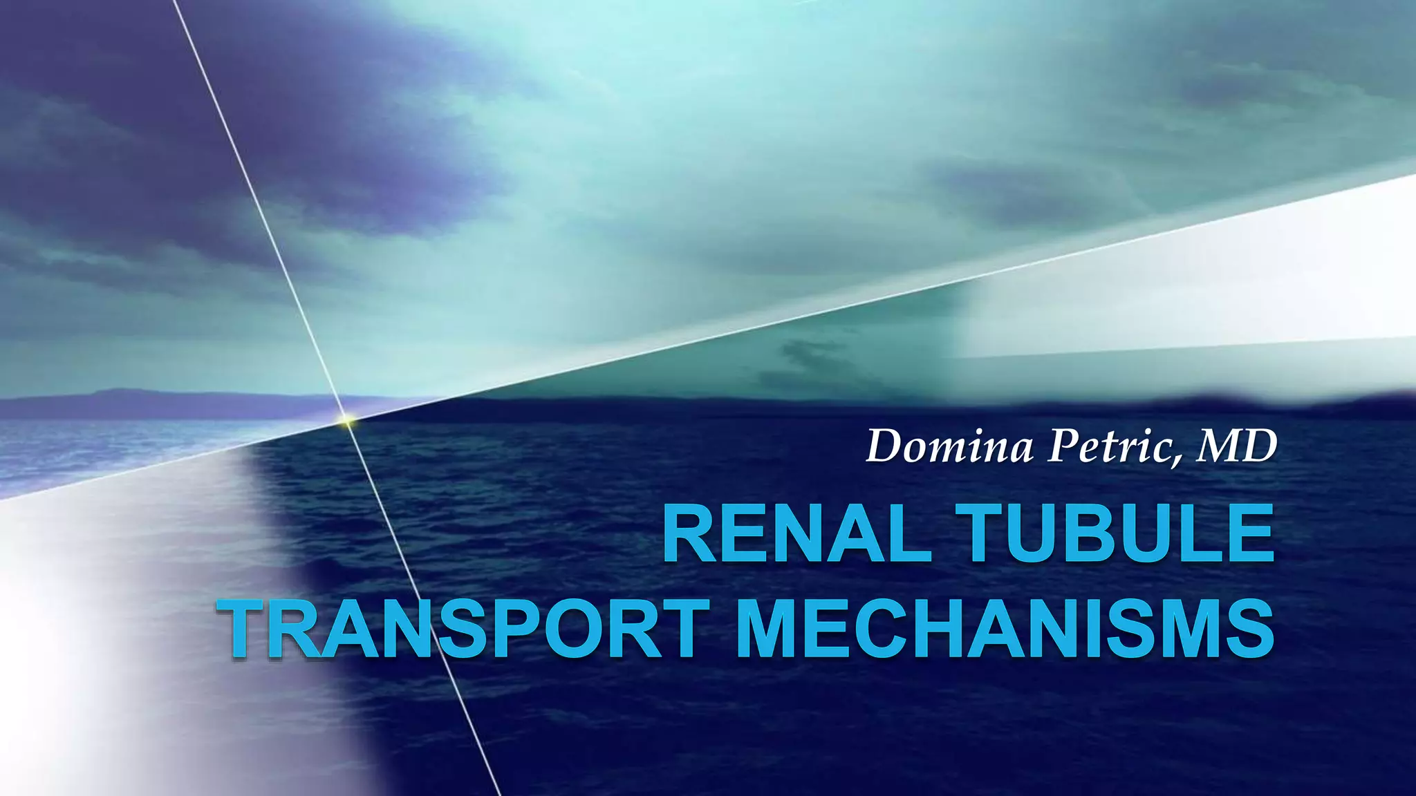 Renal tubule transport mechanisms | PPSX