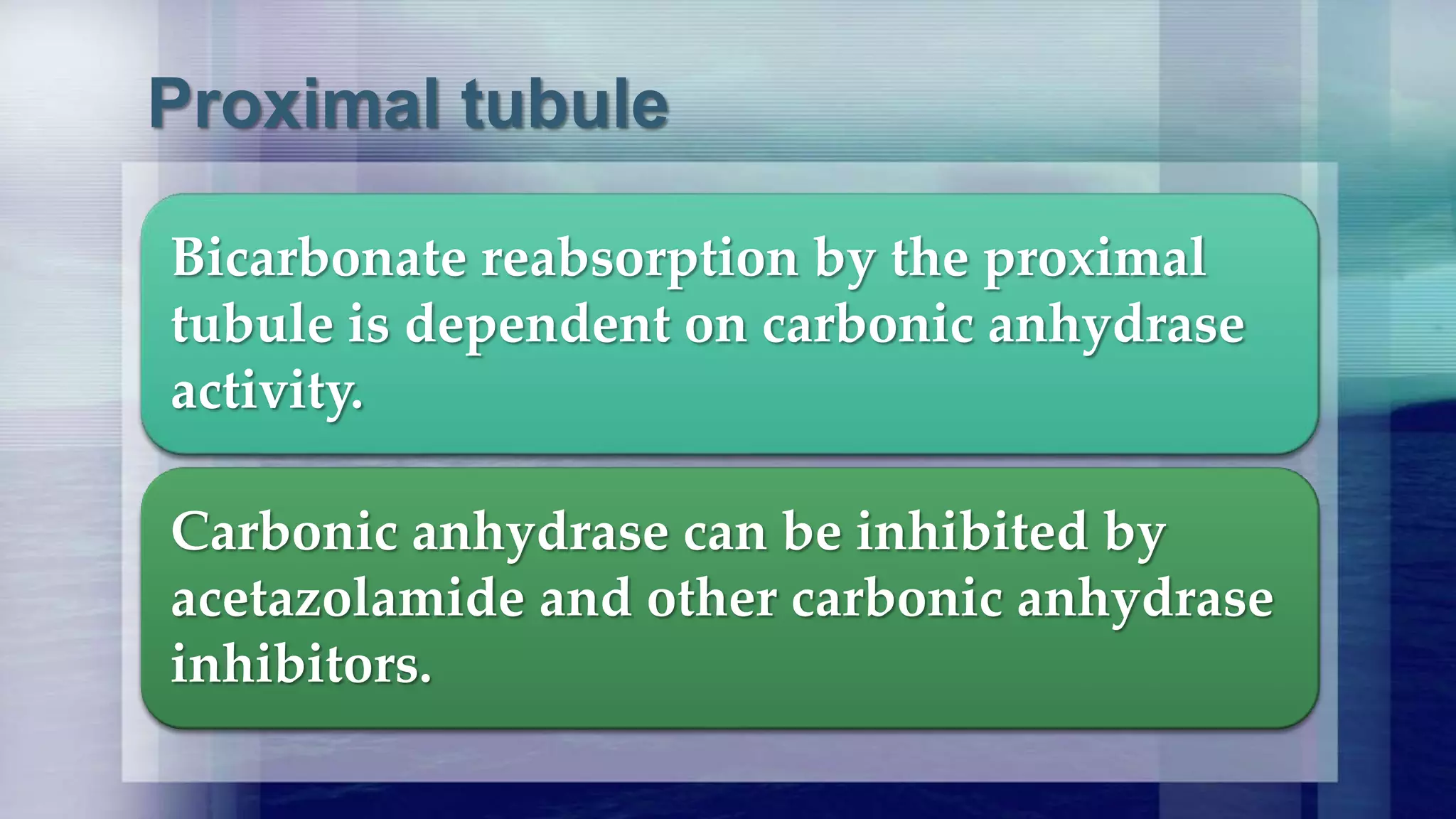 Renal tubule transport mechanisms | PPSX