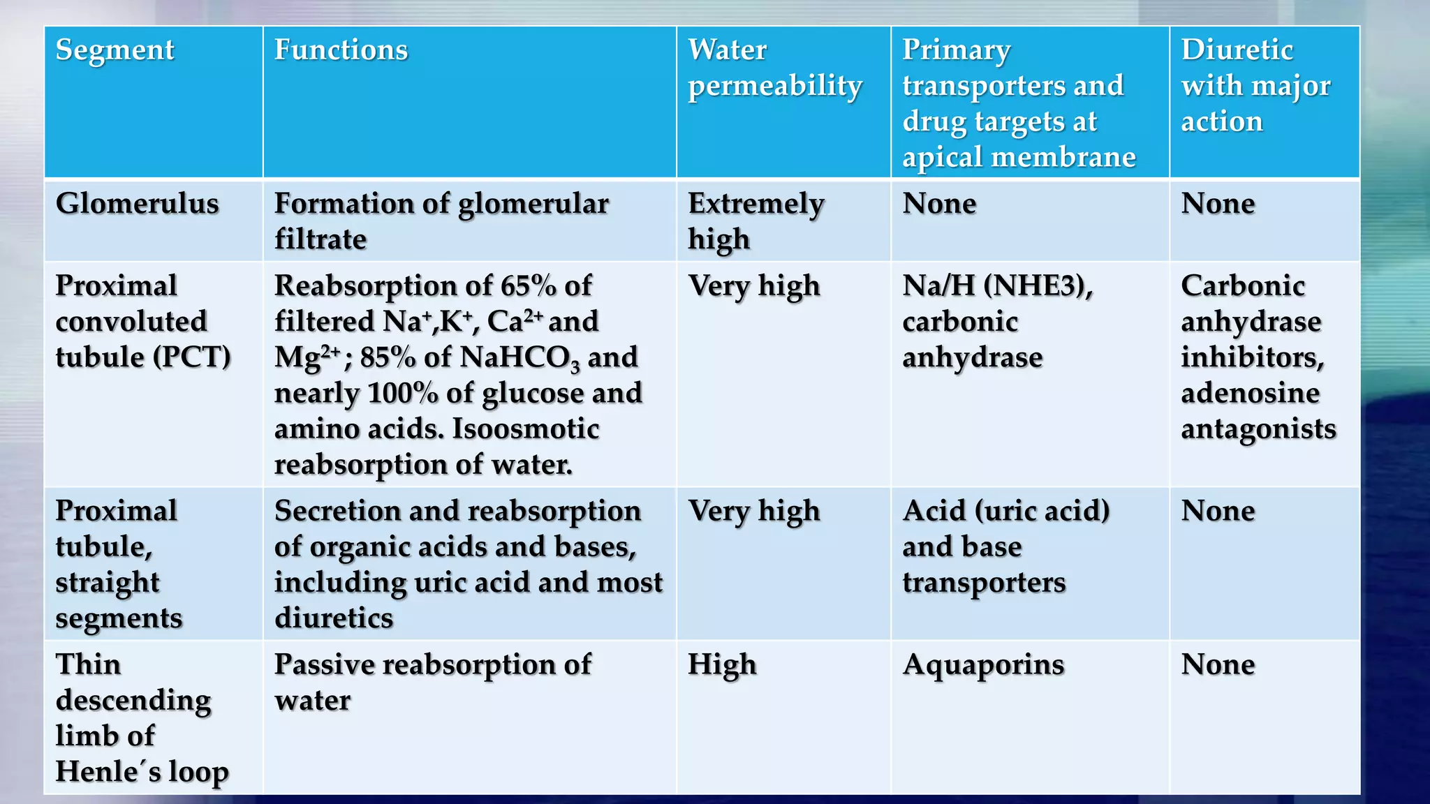 Renal tubule transport mechanisms | PPSX