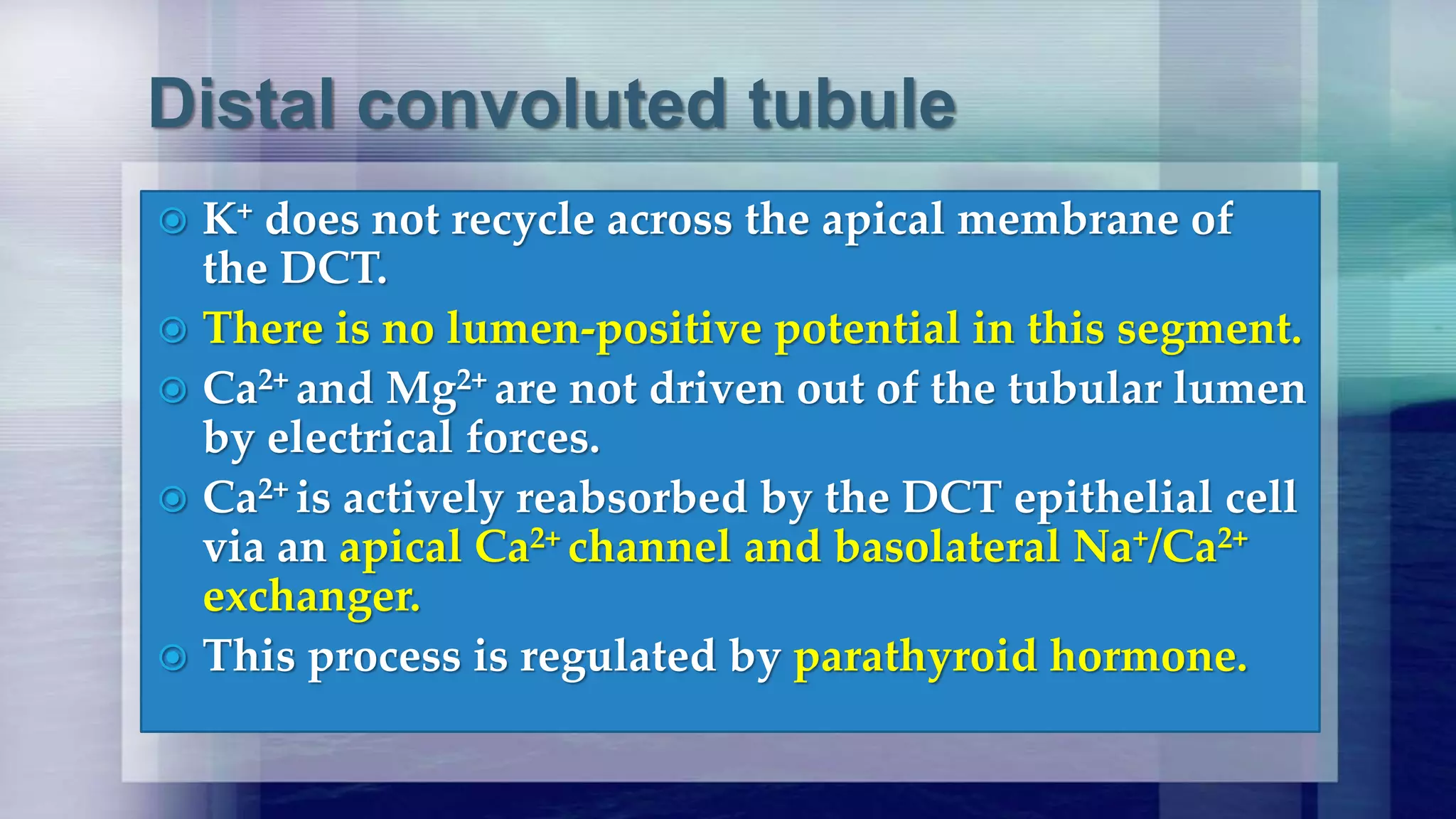 Renal tubule transport mechanisms | PPSX