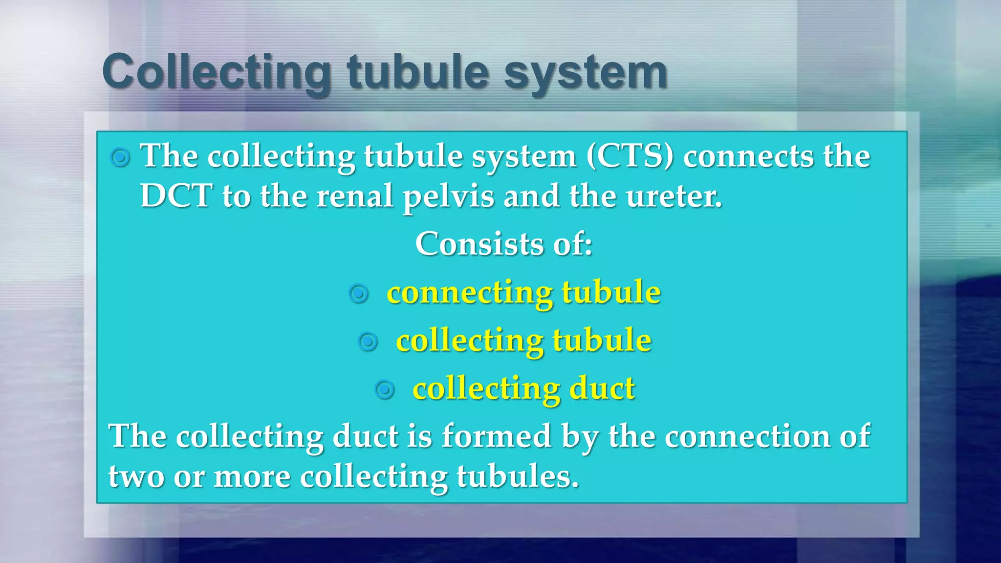 Renal tubule transport mechanisms | PPSX