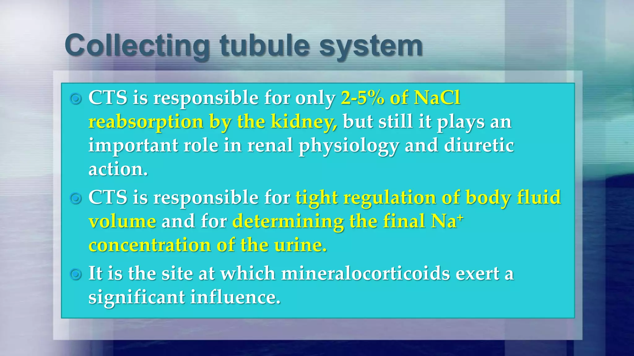 Renal tubule transport mechanisms | PPSX