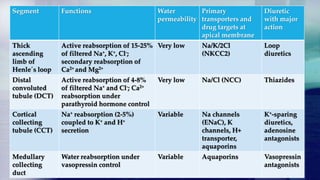 Renal tubule transport mechanisms | PPSX