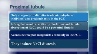 Renal tubule transport mechanisms | PPSX
