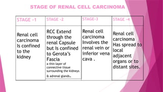 Nursing management of patient with kidney and urinary system | PPT