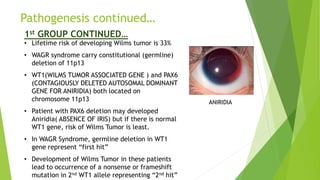RENAL TUMOR - WILMS TUMOR | PPT