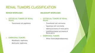 RENAL TUMOR - WILMS TUMOR | PPT
