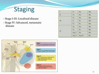 Renal Tumors, Renal Cell Carcinoma- Dr. Vandana | PPT