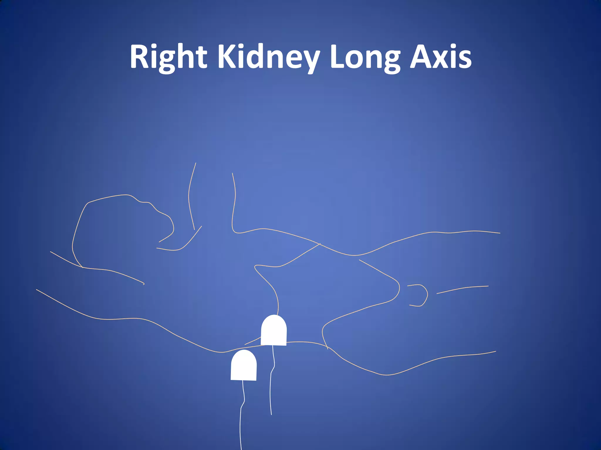 Renal us 2017 | PDF