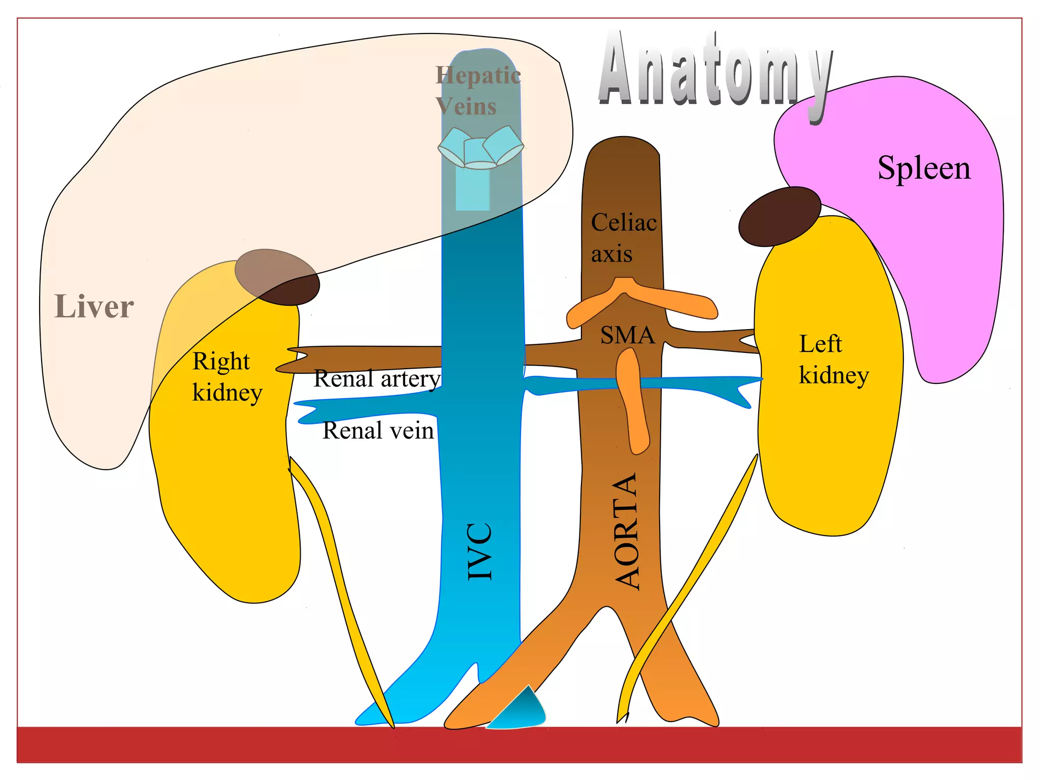 Renal us dr.doaa sharaf md | PPT