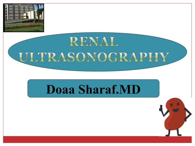 Renal us dr.doaa sharaf md | PPT