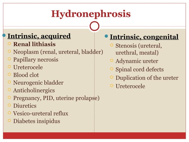 Renal us dr.doaa sharaf md | PPT