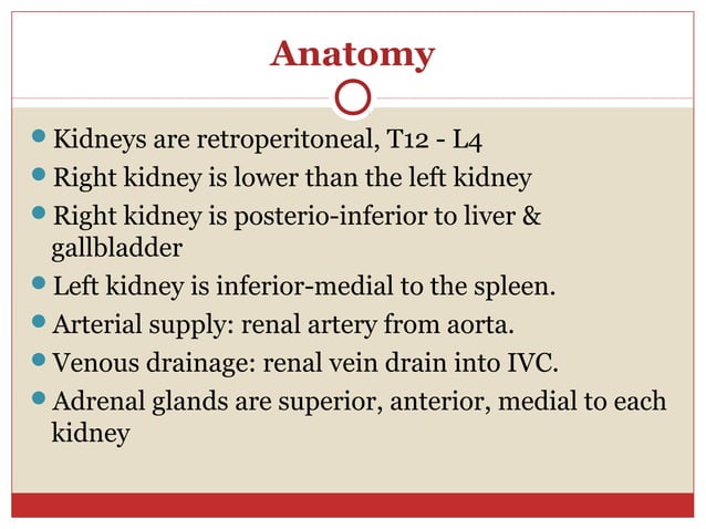 Renal us dr.doaa sharaf md | PPT