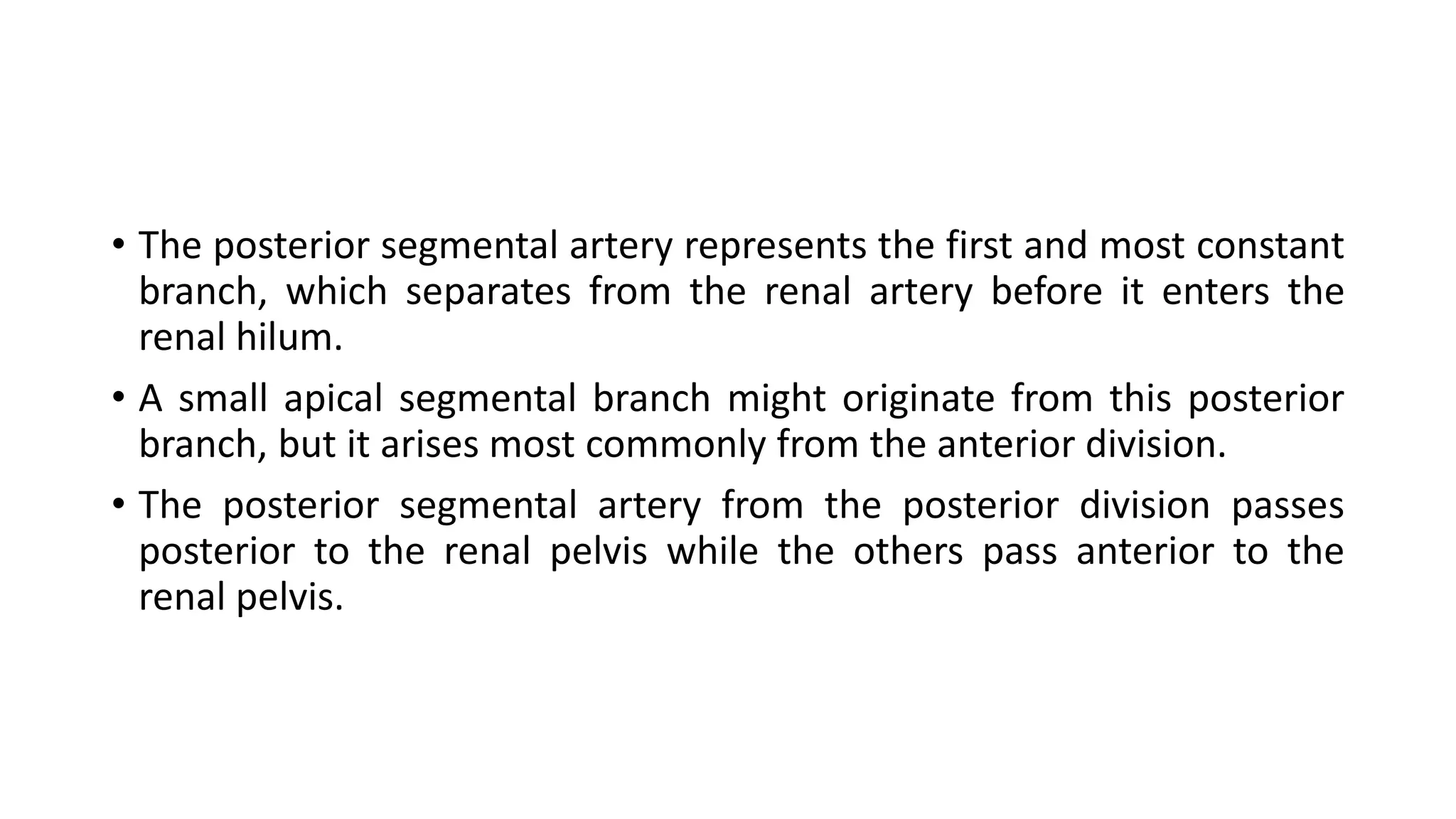 Renal vascular anatomy | PPTX