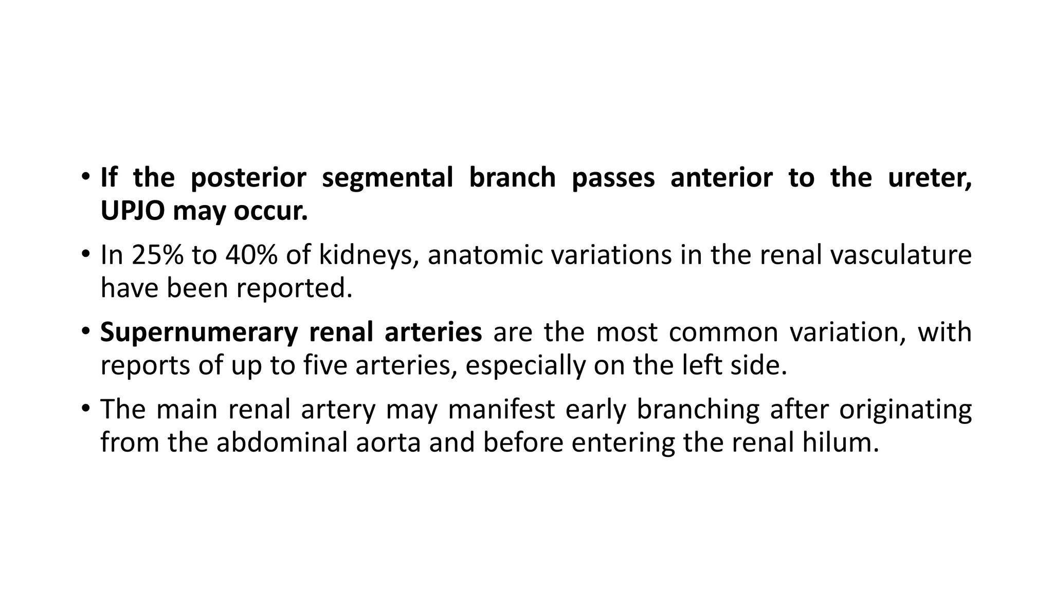 Renal vascular anatomy | PPTX