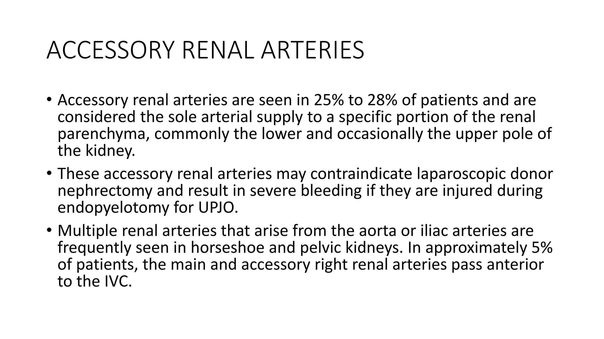 Renal vascular anatomy | PPTX