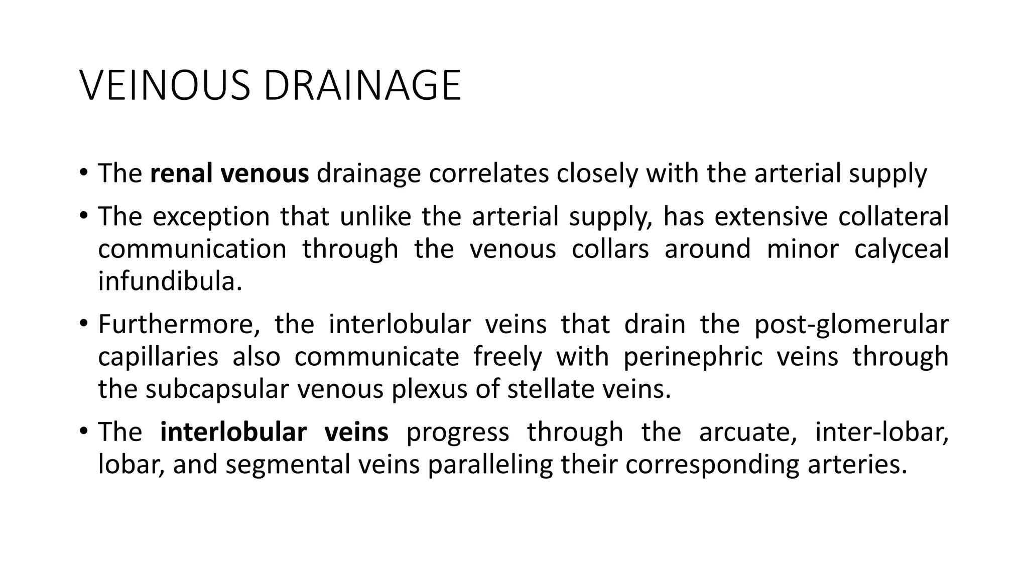 Renal vascular anatomy | PPTX