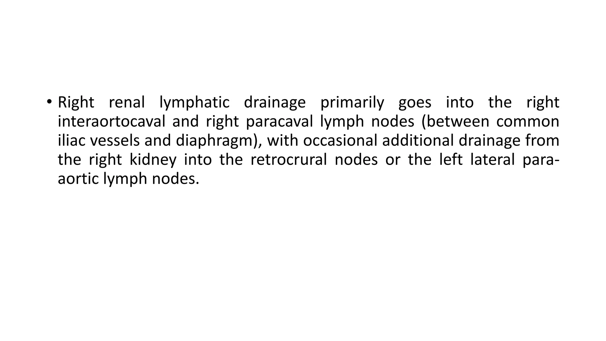 Renal vascular anatomy | PPTX