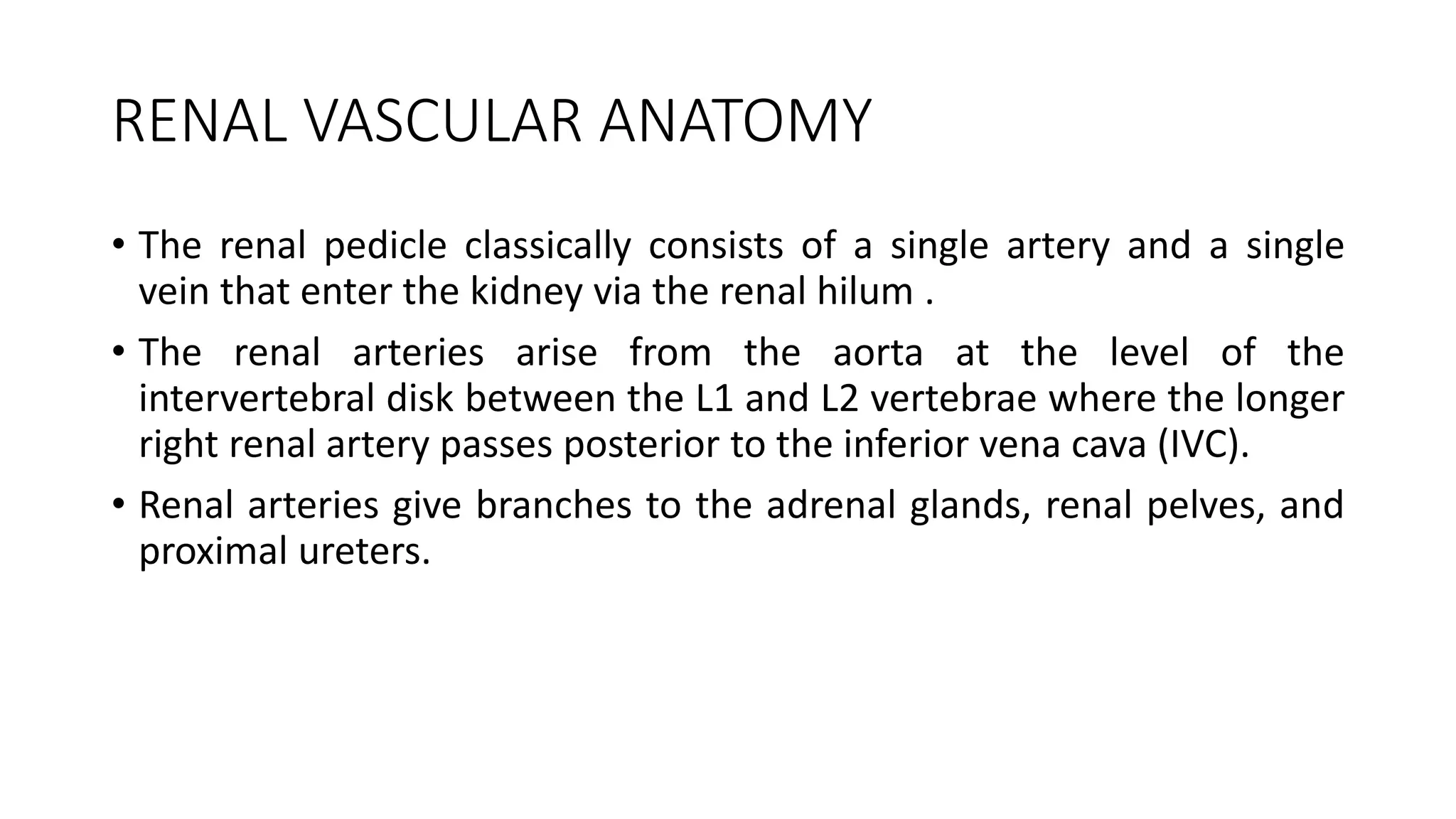 Renal vascular anatomy | PPTX