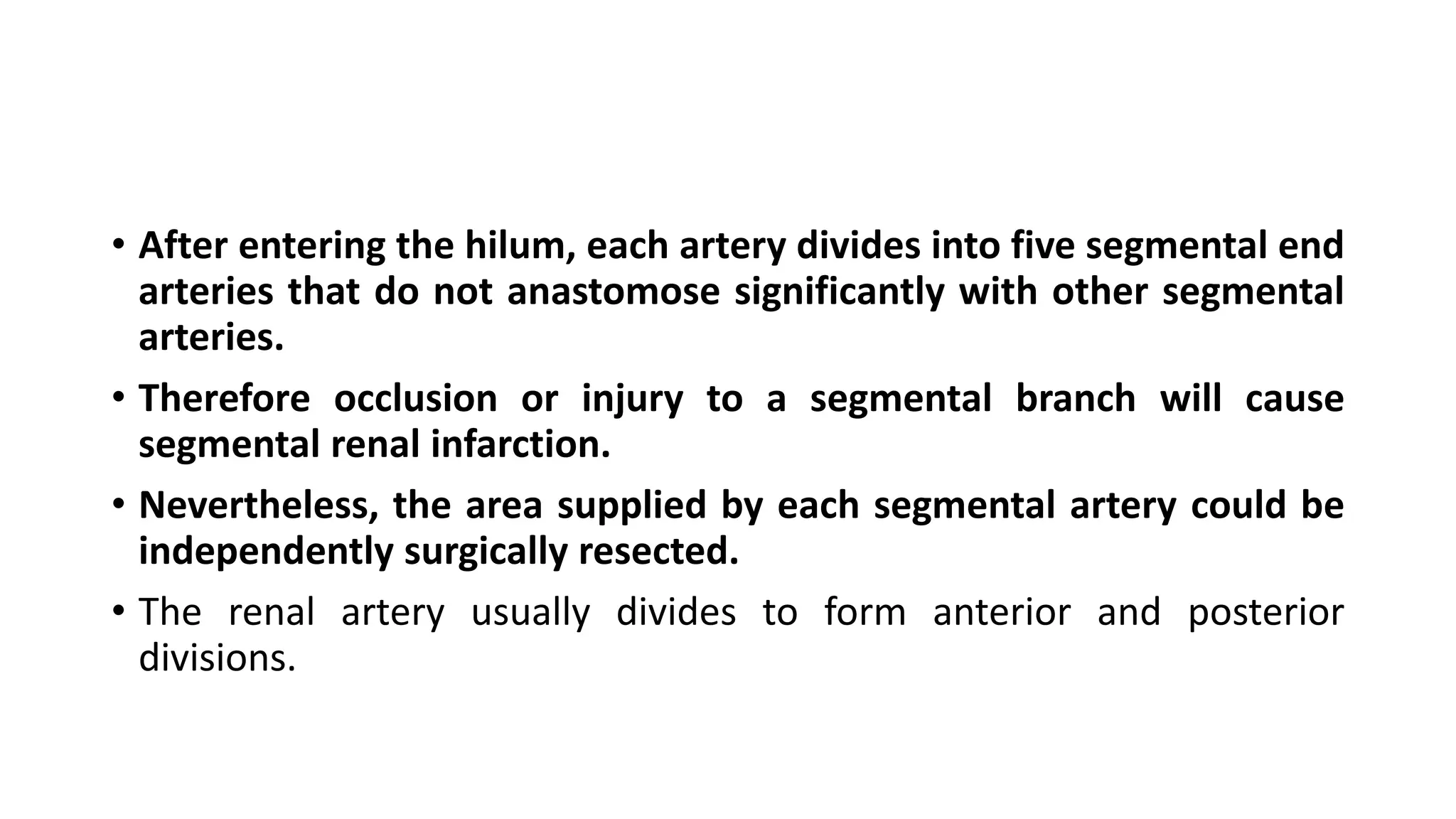 Renal vascular anatomy | PPTX