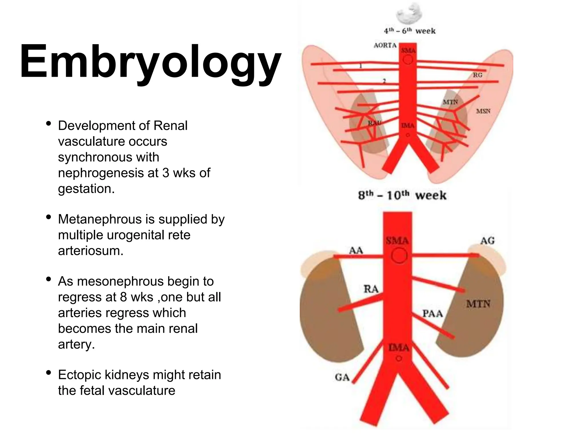 A practical guide to Renal Vascular Diseases.pptx