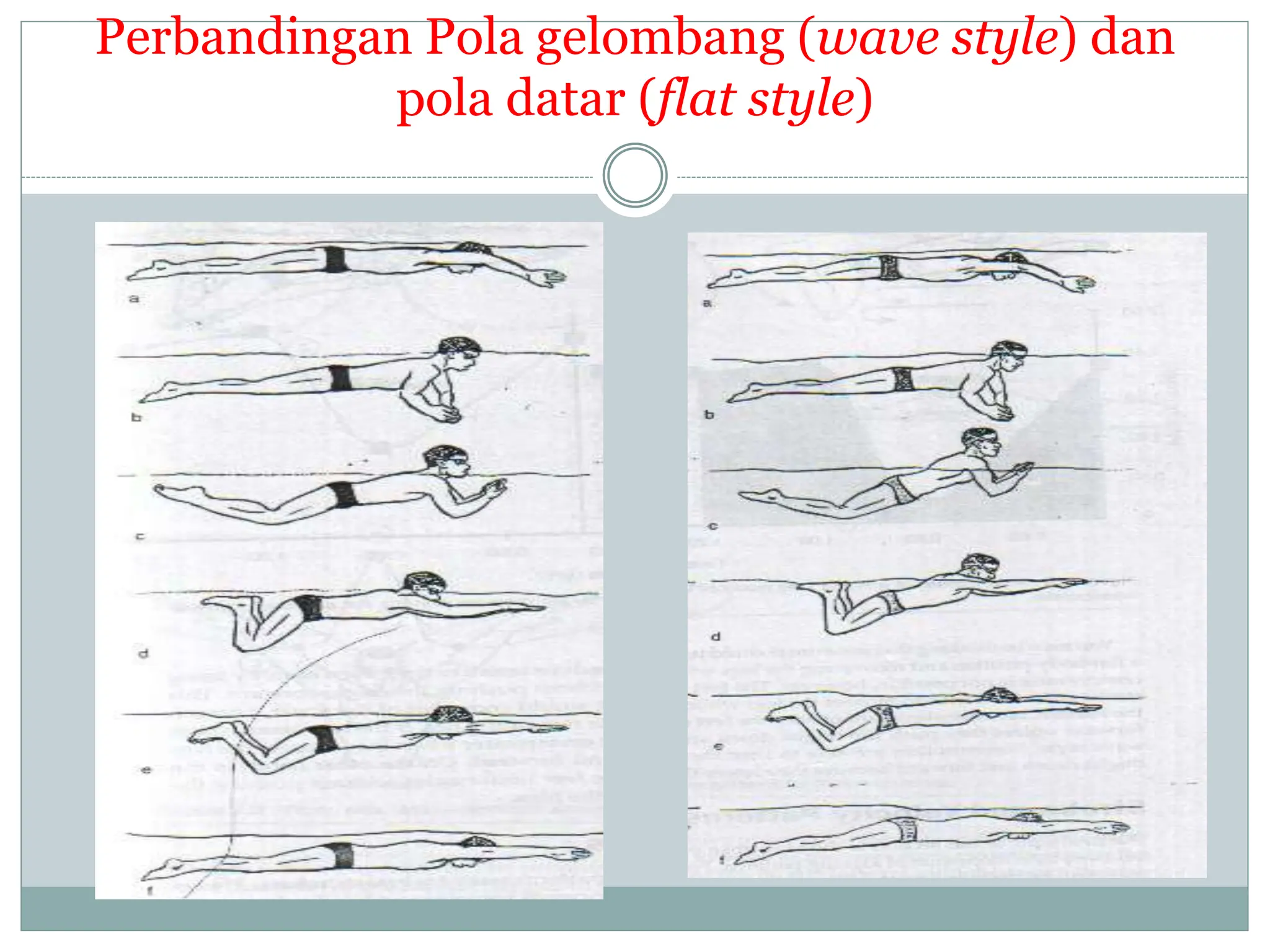 materi RENANG gaya Dada untu SD kelas 5 dan 6 | PPT