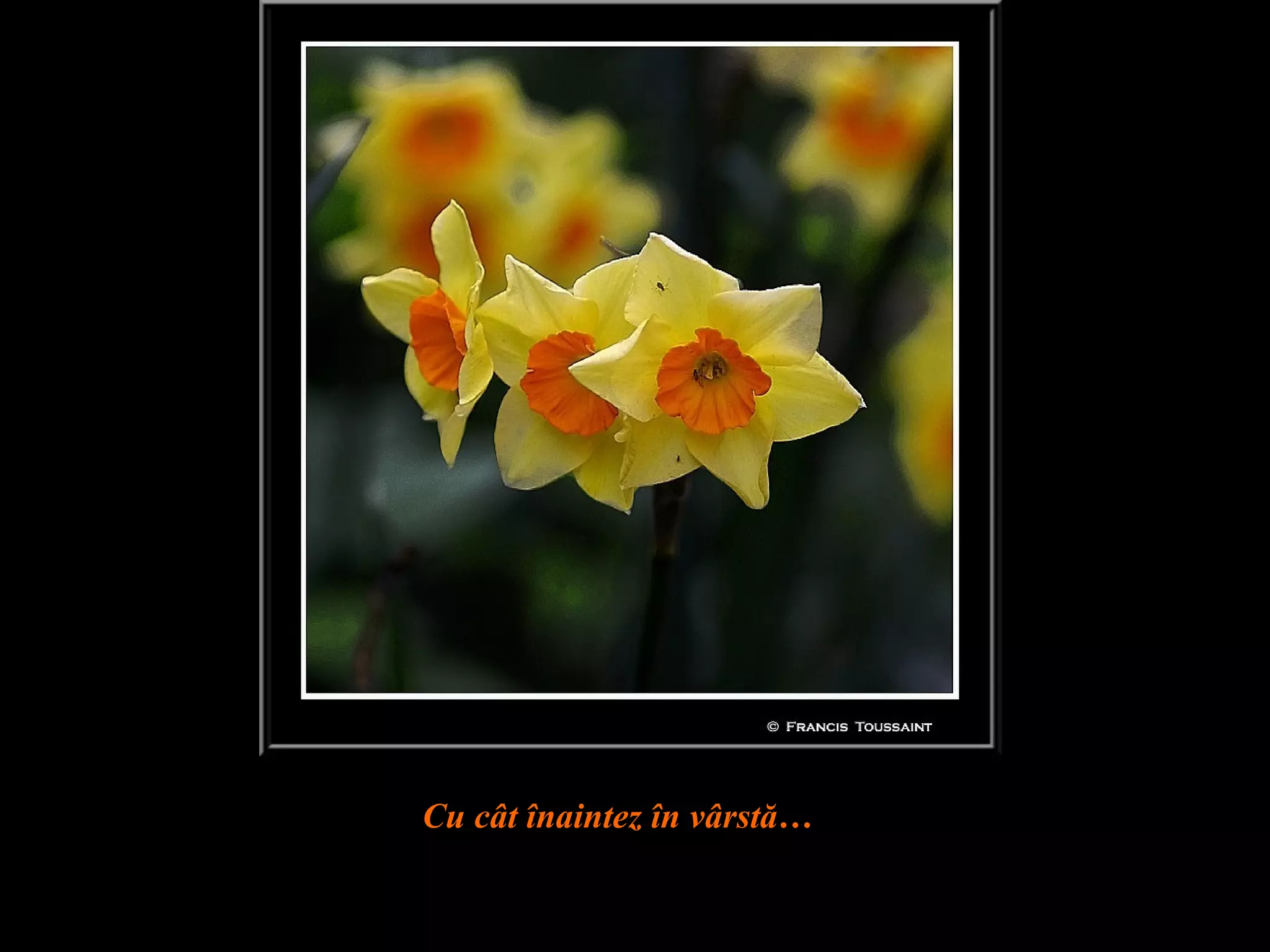 Renasterea.......... LA MULTI ANI DE 8 MARTIE | PPS