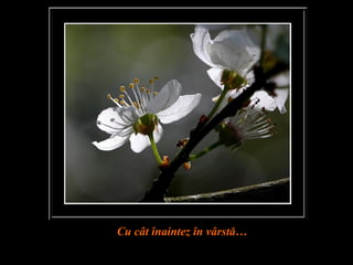 Renasterea.......... LA MULTI ANI DE 8 MARTIE | PPS