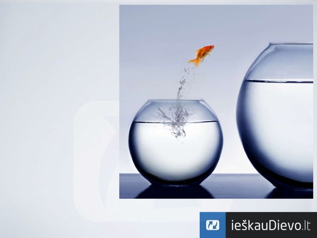 Renatos pristatymas | PPTX