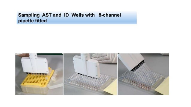 Render MA120 microbiology AST/ID system.pptx | Infectious Diseases ...