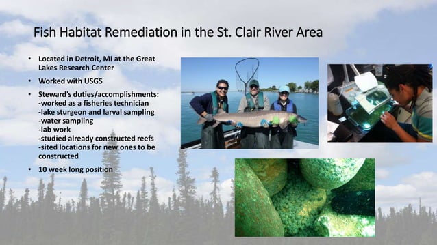 Environmental stewards program and River Restoration Program - Michael ...