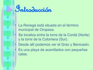 Renega | PPT