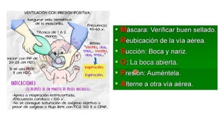RENEO-1.pdf