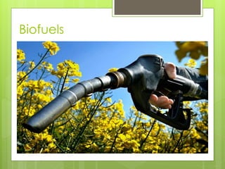 Biofuels | PPTX