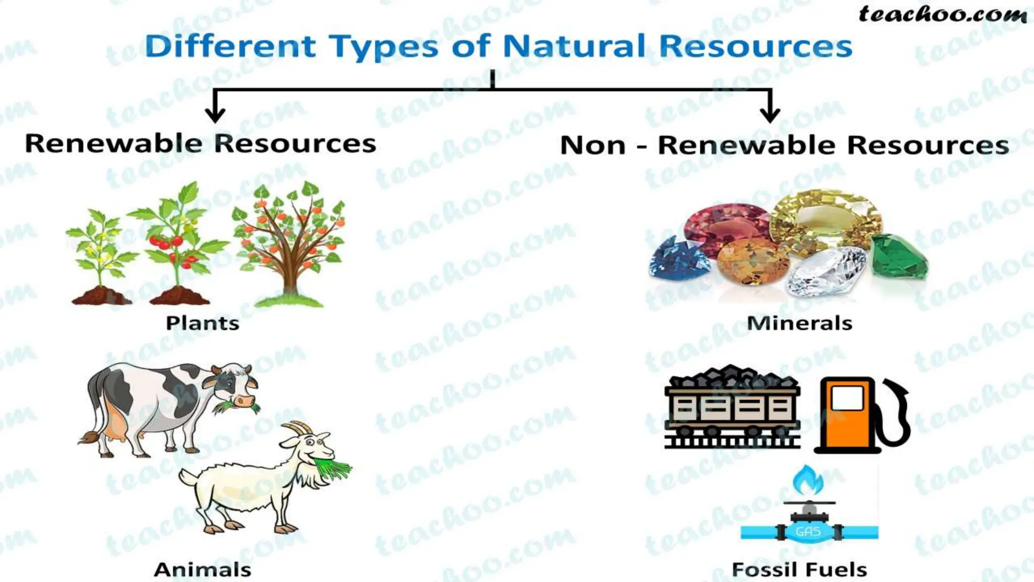 RENEWABLE AND NONRENEWANLE Resources PPt | PPTX