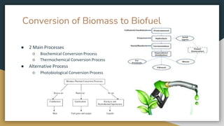 Renewable Energy | PPT