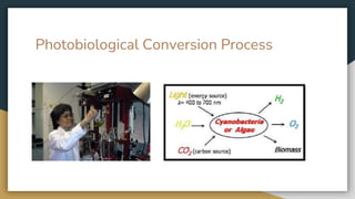 Renewable Energy | PPT