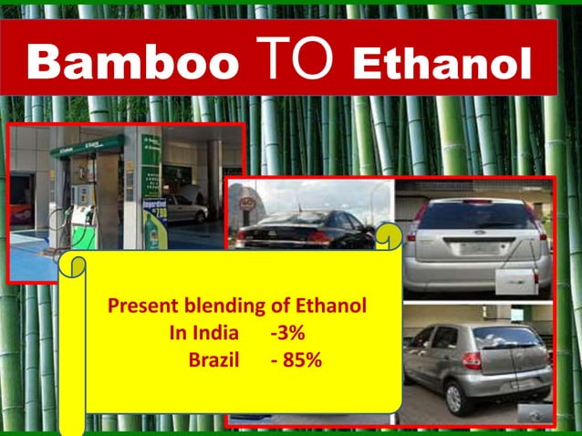 Renewable energy bamboo dr barathi growmore biotech short | PPT