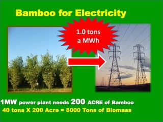 Renewable energy bamboo dr barathi growmore biotech short | PPSX