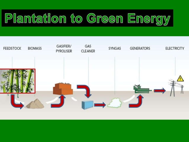 Renewable energy bamboo dr barathi growmore biotech short | PPT