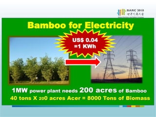 Renewable Energy_N.Barathi_Bamboo energy plantations in India | PDF ...