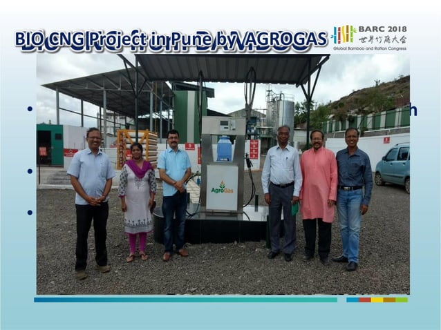 Renewable Energy_N.Barathi_Bamboo energy plantations in India | PDF ...