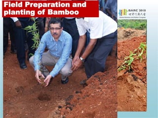 Renewable Energy_N.Barathi_Bamboo energy plantations in India | PDF ...