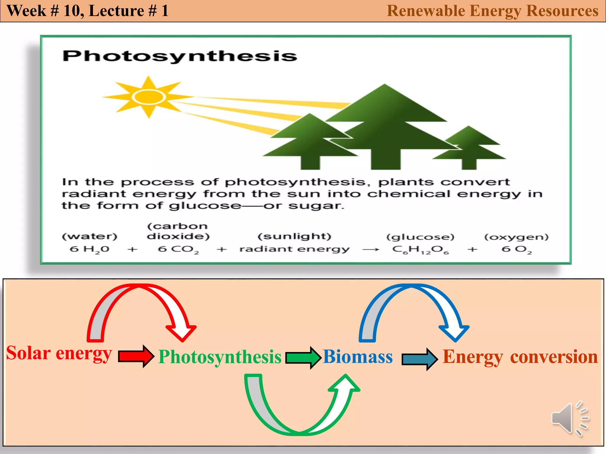 Renewable energy resources_ biomass energy introduction | PPT
